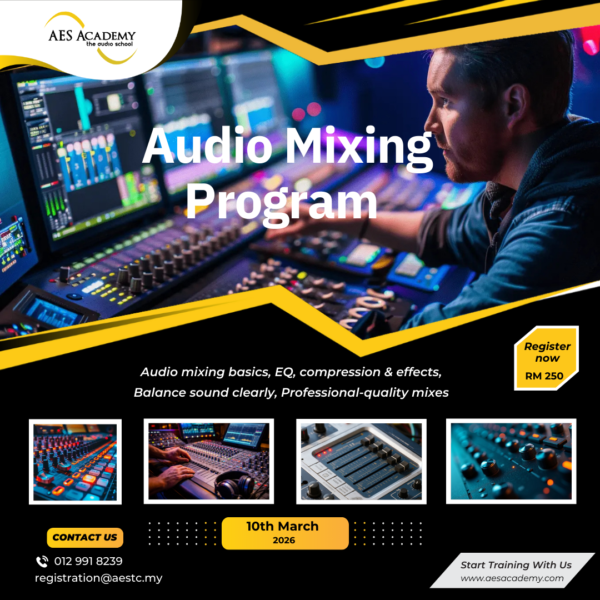 Audio Mixing Program – AES ACADEMY AUDIO SCHOOL